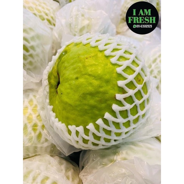 Lohan Guava ( crunchy ) x3pcs ( 400-600 gram per pcs) | Shopee Malaysia
