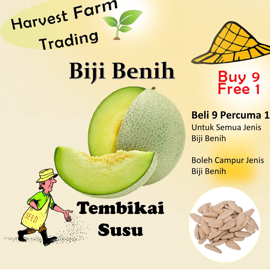 Biji Benih Tembikai Susu 8pcs honey melon seed honeydew melon seed ...