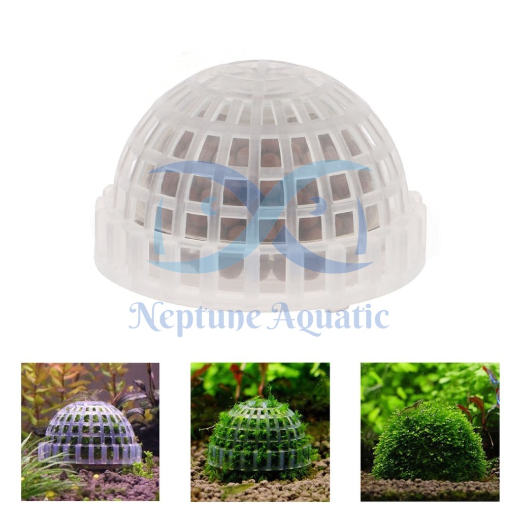 [Ready Stock] Aquarium Moss Ball Round Moss Holder Mold Fish Shrimp ...
