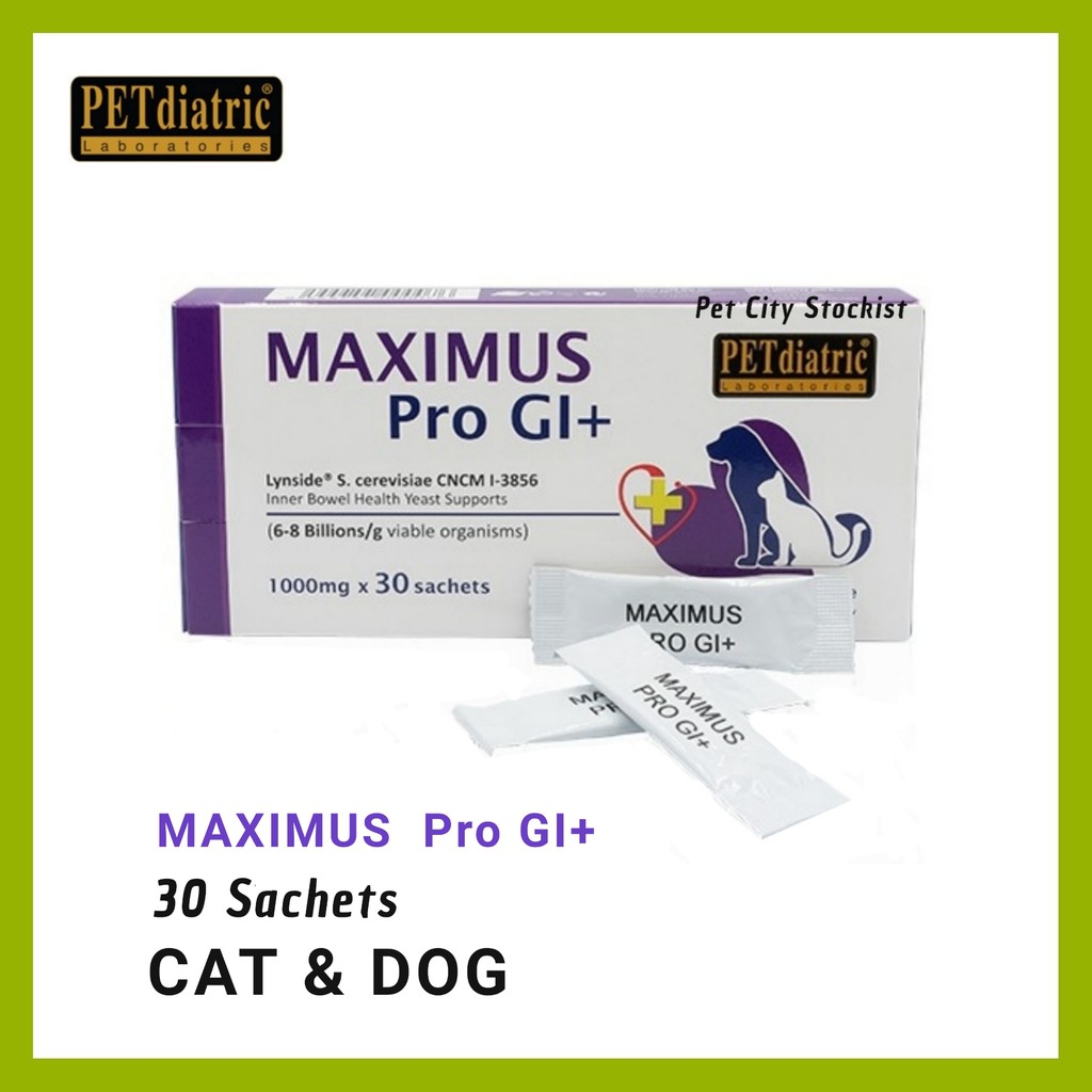 PETDIATRIC Maximus Pro GI + (Probiotic) For Cats&Dogs (30sachet ...