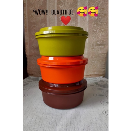 Vintage Classic Season Colors Tupperware Large Seal-N-Serve Stacking ...