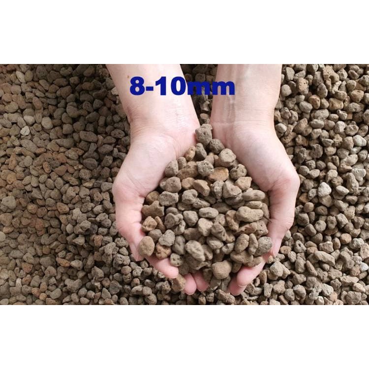 Pumice Stone/Batu Apong Saiz 8-10mm & 10-20cm For Cactus Succulent Adenium | Shopee Malaysia