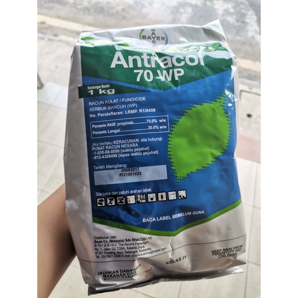 [BAYER] ANTRACOL 70WP (FUNGICIDE) | Shopee Malaysia