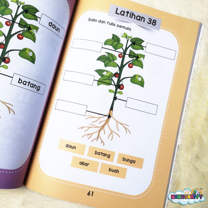 BUKU AKTIVITI AWAL SAINS PRASEKOLAH BONUS VIDEO PANDUAN MENGAJAR DAN ...