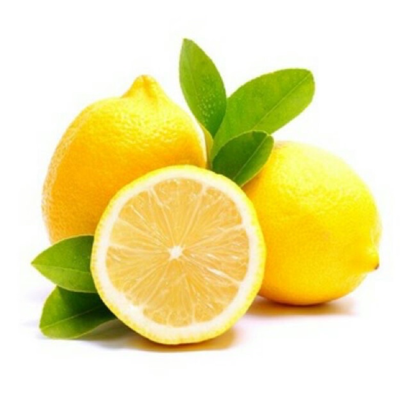 Pokok Lemon Australia | Shopee Malaysia