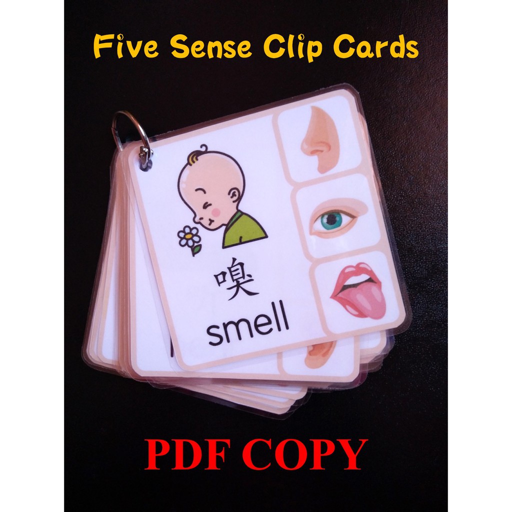 Printable Five Sense Clip Cards / Preschool Science / Kindergarten ...
