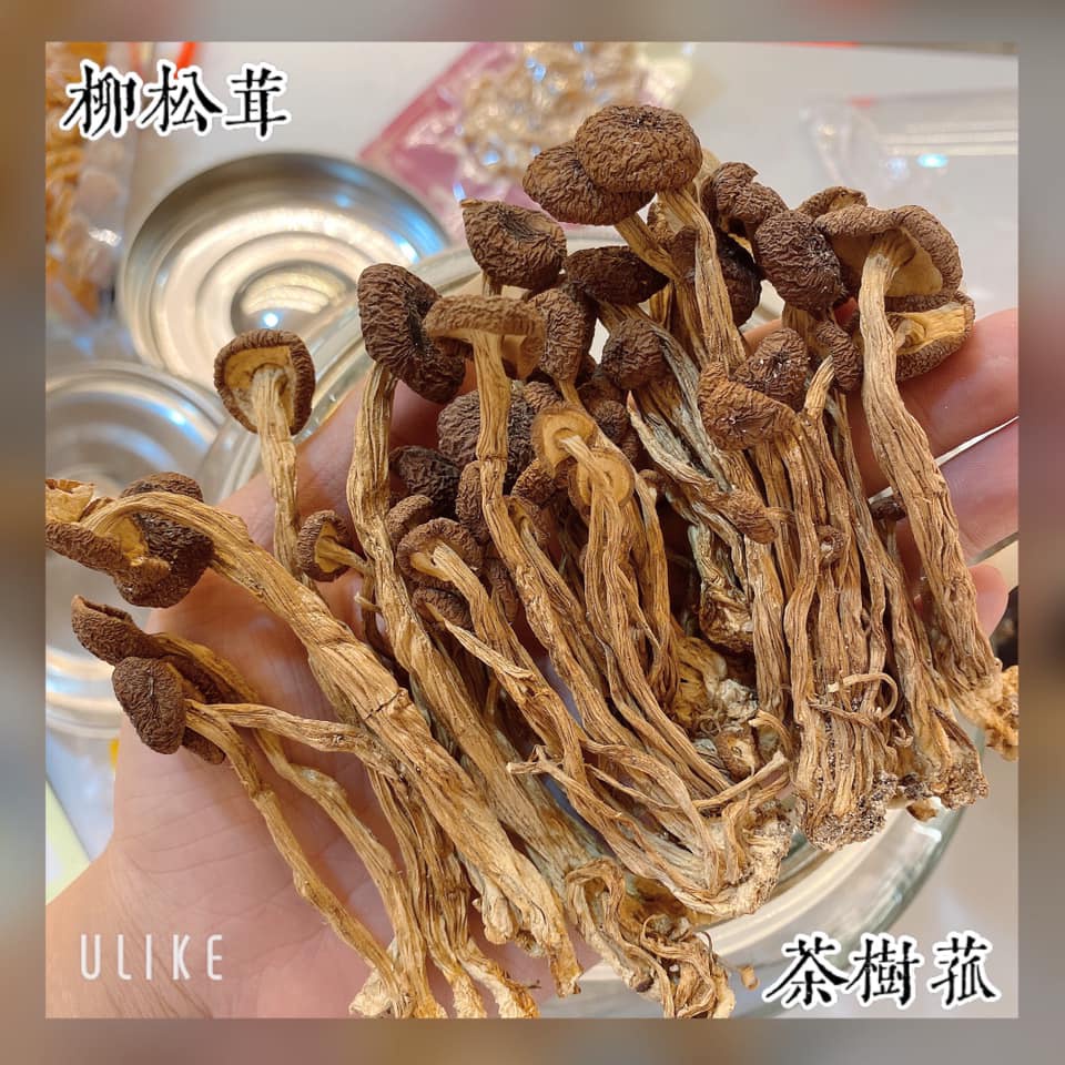 茶树菇 Agrocybe Aegerila Dried Tea Tree Mushroom (100g ) Cendawan Kering ...