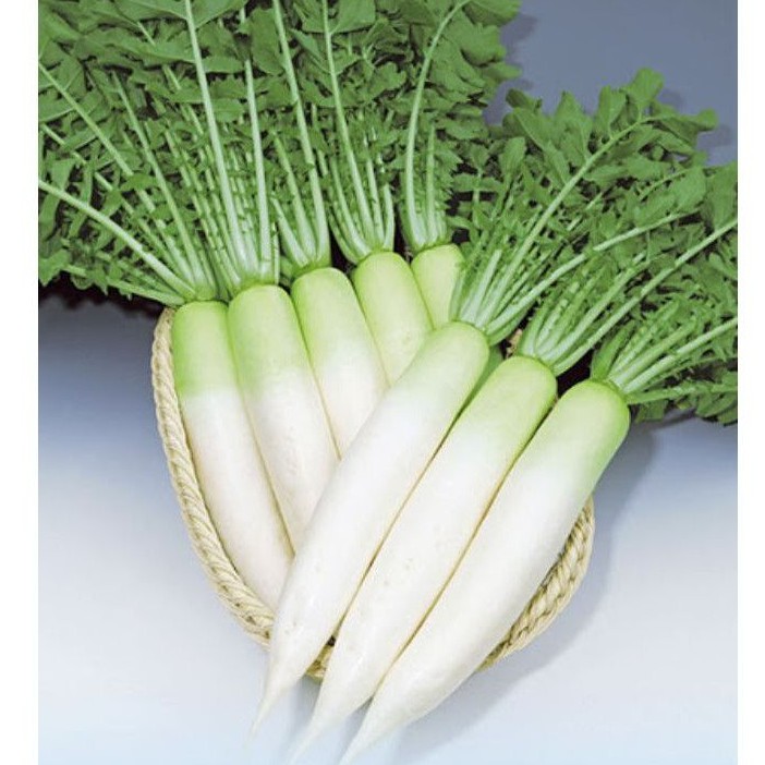 LOBAK PUTIH/RADISH (+/-1.3kg) | Shopee Malaysia