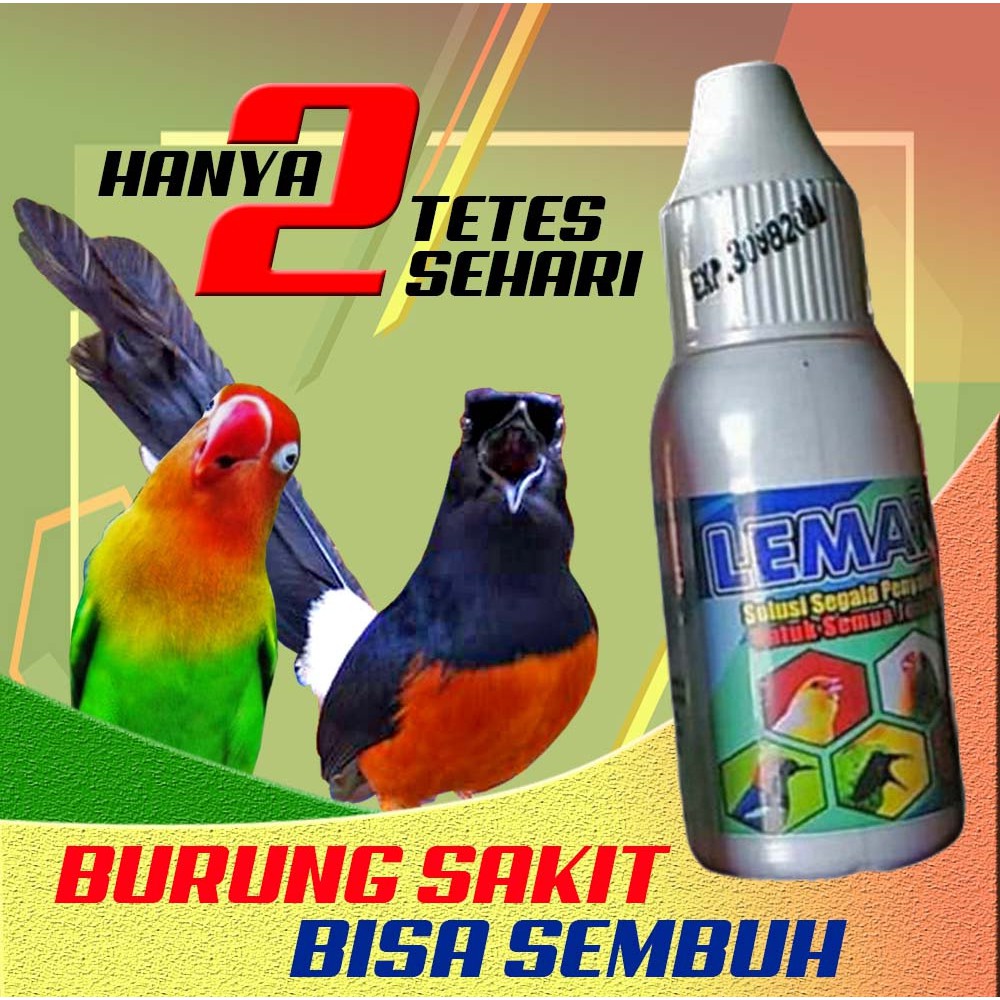 Bird Drugs, Medication Birds, Effective Bird Medication, Best Bird ...