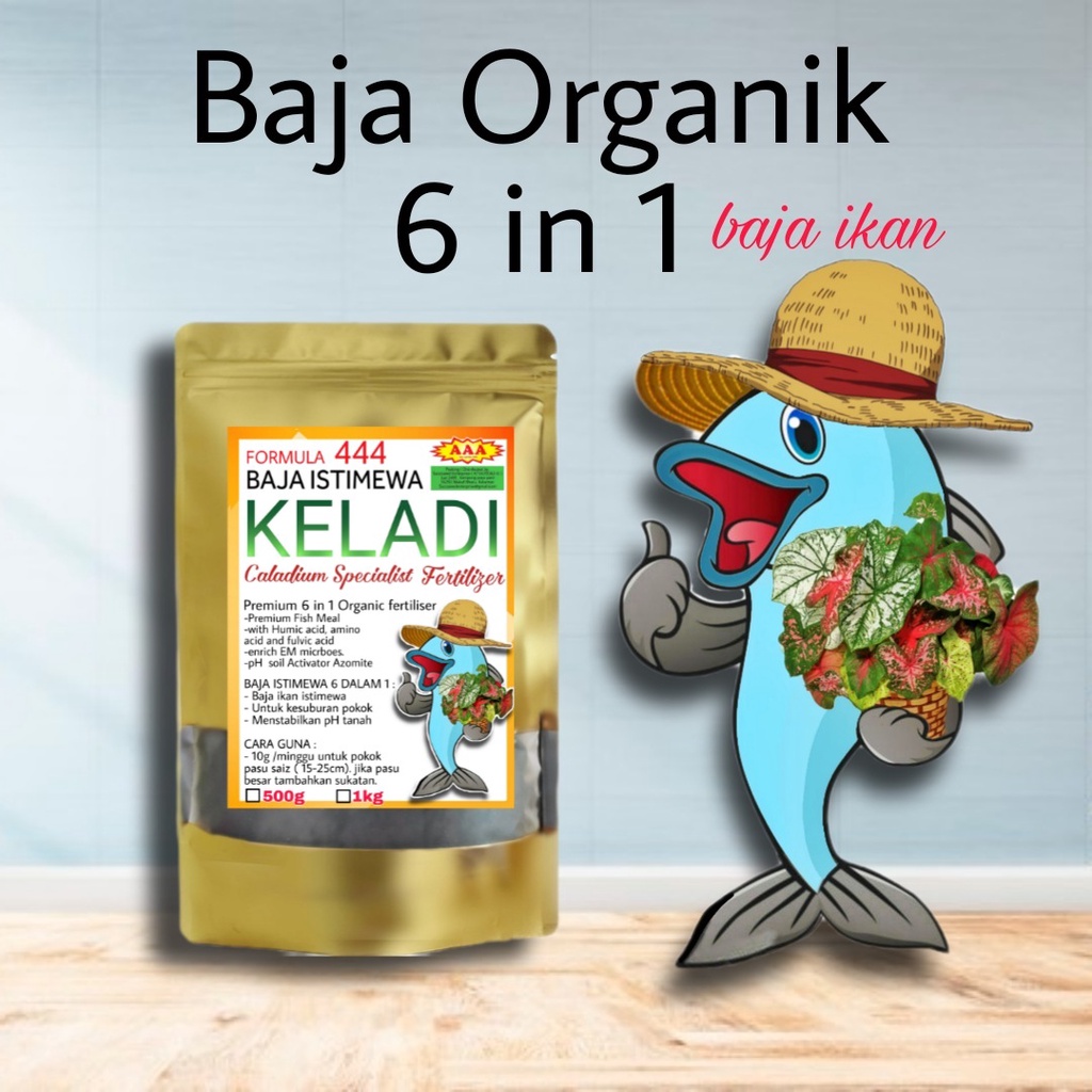 BAJA IKAN 6 IN 1 Baja organik istimewa keladi 1KG / caladium fertilizer ...