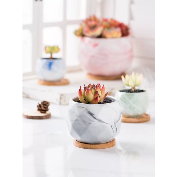 Aesthetic Ceramic Pot Marble Series Faceted Colorful For Succulent ...