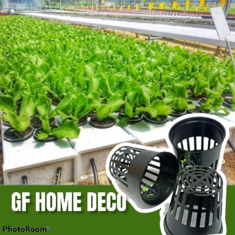 GFE [THICK] 🔥55MM net pot/ mesh pot/ Hydroponic 2x4 pot SEEDING POT ...