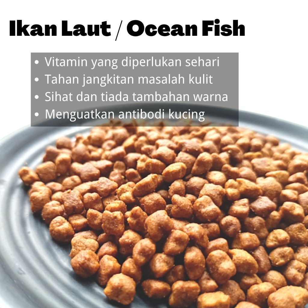 Makanan Kucing Premium 50g 80g Kucing Dewasa Kitten Kucing Berumur Ayam ...