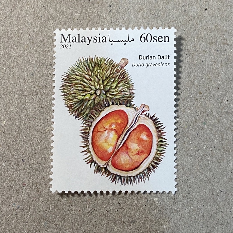Postage stamp - King Of Fruits In Malaysia - Durian , for mail ...