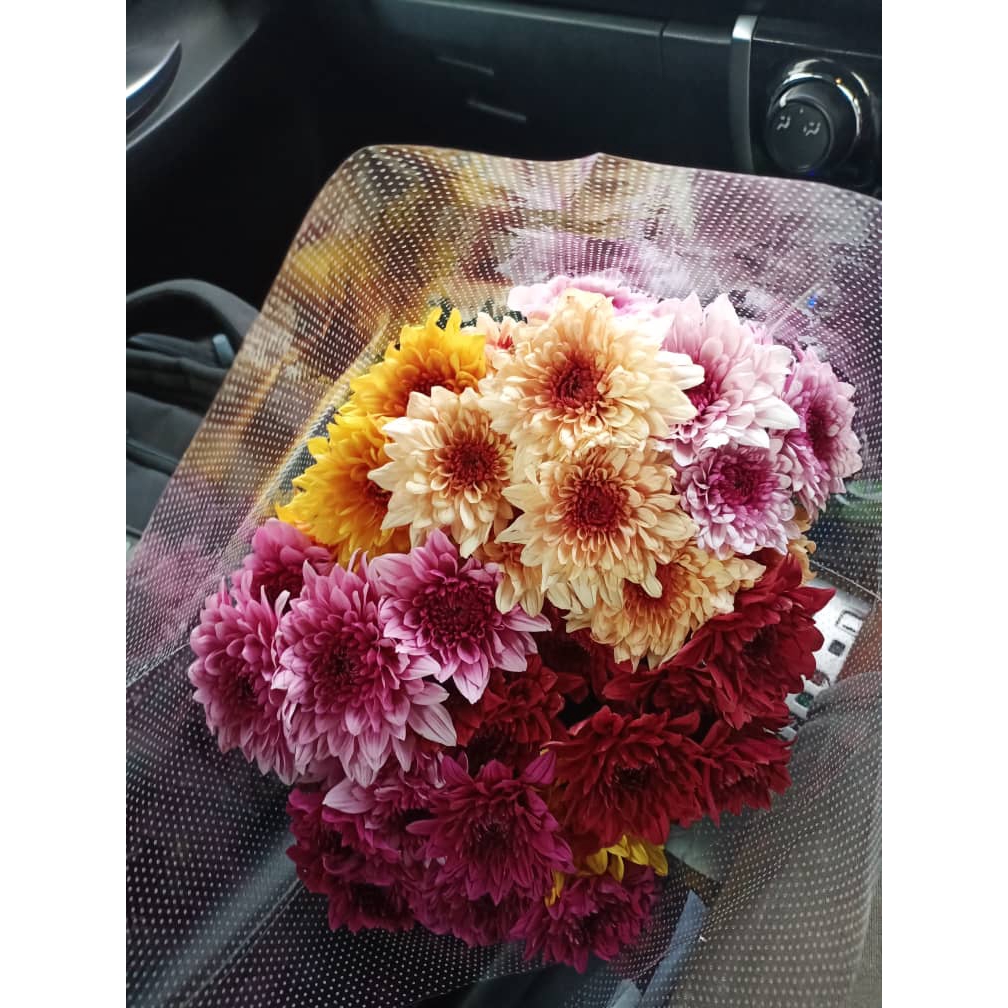 Rainbow - Mix Color Chrysanthemum , Daisy or Roses - Farm to Home ...