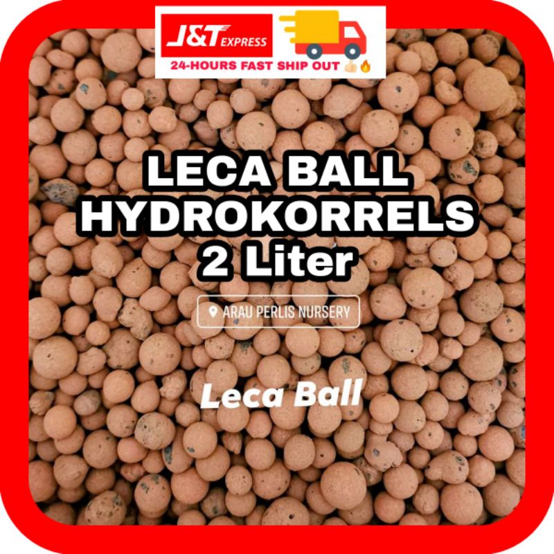 LECA BALL / HYDROKORRELS/ HYDROPONIC | Shopee Malaysia