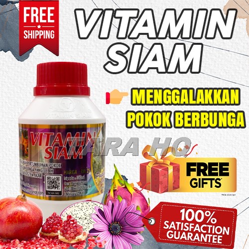 [READY STOCK] VITAMIN SIAM BAJA SEMBURAN BAJA SIAM VIRAL 💥BAJA VITAMIN SIAM READY STOCK 350 ml ...
