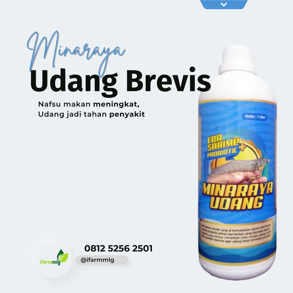 Minaraya Shrimp Brevis Packaging 1L - Speed Shrimp Growth And Increase ...