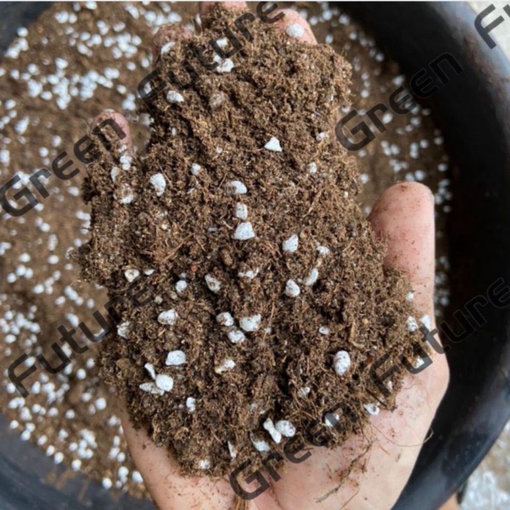 Pindstrup Peatmoss + Perlite 6L 丹麦品氏粗泥炭 + 珍珠岩 6L 植物泥土 花泥土 花泥 有机泥土 园艺土 园 ...