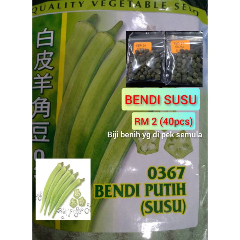 BIJI BENIH BENDI PUTIH /BENDI SUSU / OKRA SEEDS (40pcs) | Shopee Malaysia