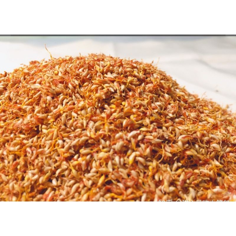 ‼️Exp.30/09/2025‼️1Pack 40g Ficus Pumila Aiyu Jelly Seed/一包40g爱玉薜荔籽/薜荔 ...