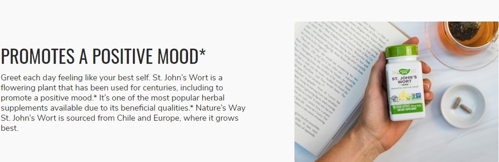 🌿Ready Stock 🌿 Nature's Way St. John's Wort Herb 700 mg (Depression ...