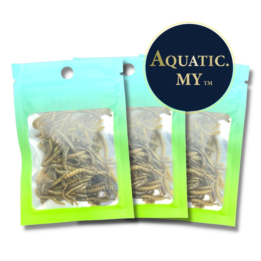 Premium Dried Mealworm/ Mealworm for Sugar Glider/Hamster/Bird/ Fish ...