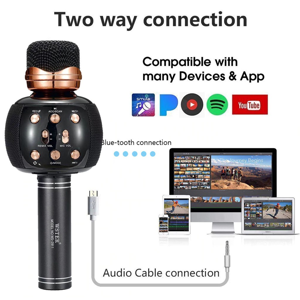 WSTER WS-2911 Karaoke KTV Mic Portable Bluetooth Hifi Speaker ...