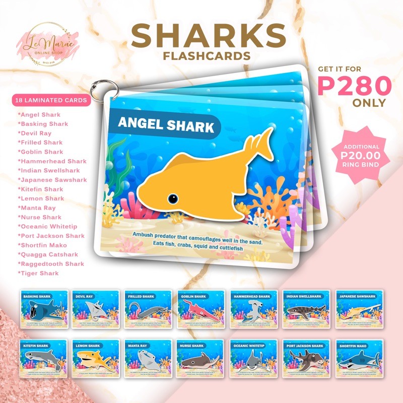 KINDS OF SHARKS Flashcards Under the Sea Laminated Educational ...