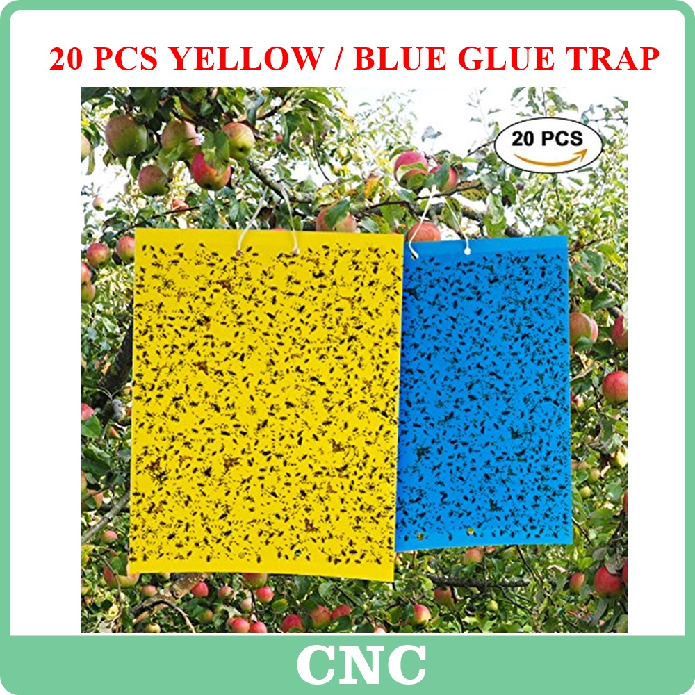 20pcs Double Sided Yellow Blue Sticky Glue Trap Perangkap Lalat Kuning ...