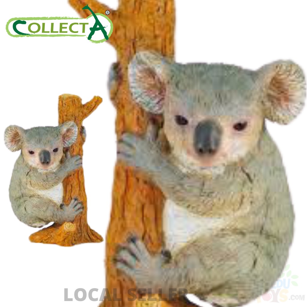 Koala Climbing - Collecta 88356 Wild Life Animal Action Figures / Toys ...