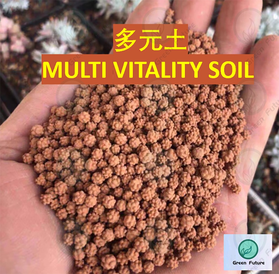 MULTI FOR SUCCULENTS SUCCULENT SOIL 多元土 duo yuan tu 可以直接用于种植 can ...