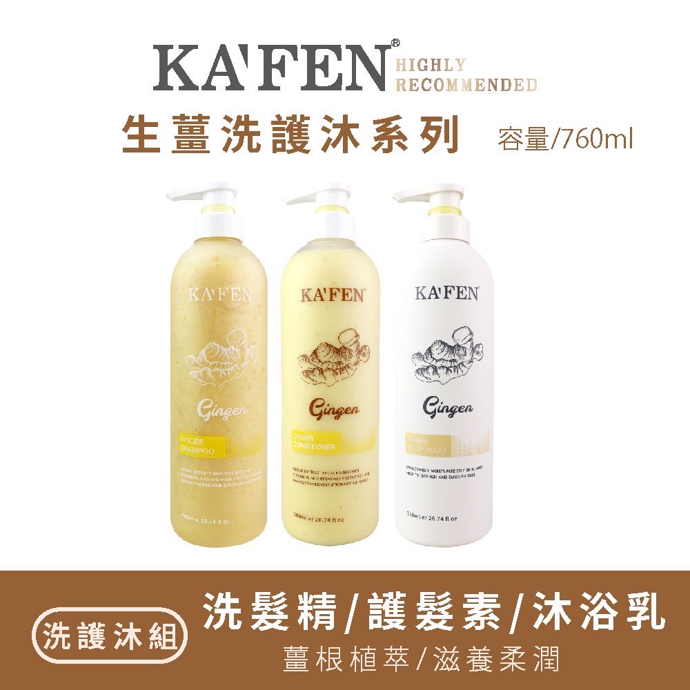 KAFEN Ginger Series Shampoo/ Treatment 250ml/760ml 生姜系列改善頭皮 脱发 控油 头皮屑 ...