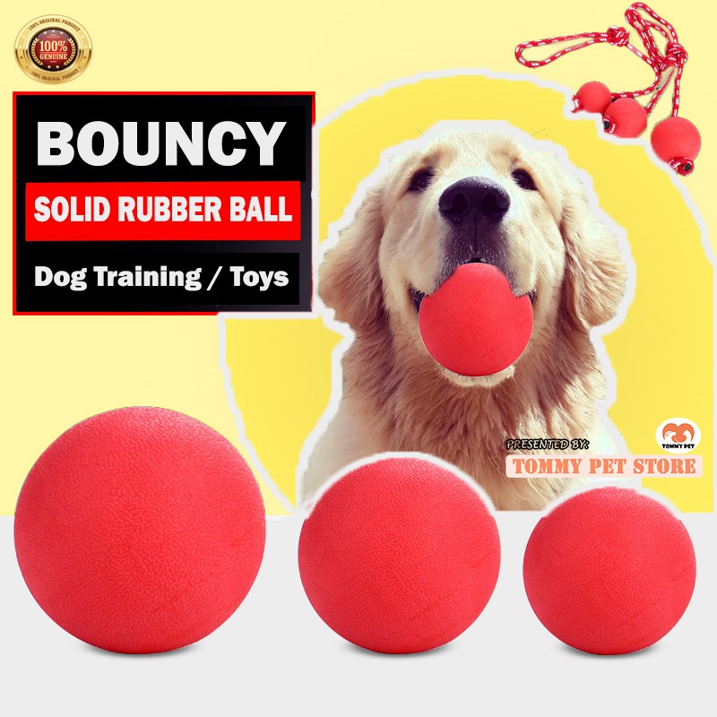 Pet Dog Toy Solid Rubber Bouncy Ball Dog Training Ball Pet Puppy ...