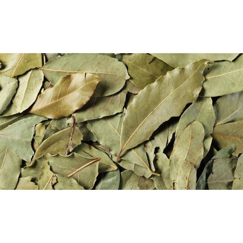 Dried Bay Leaves, Daun Salam, Salaam Kering 5gram | Shopee Malaysia