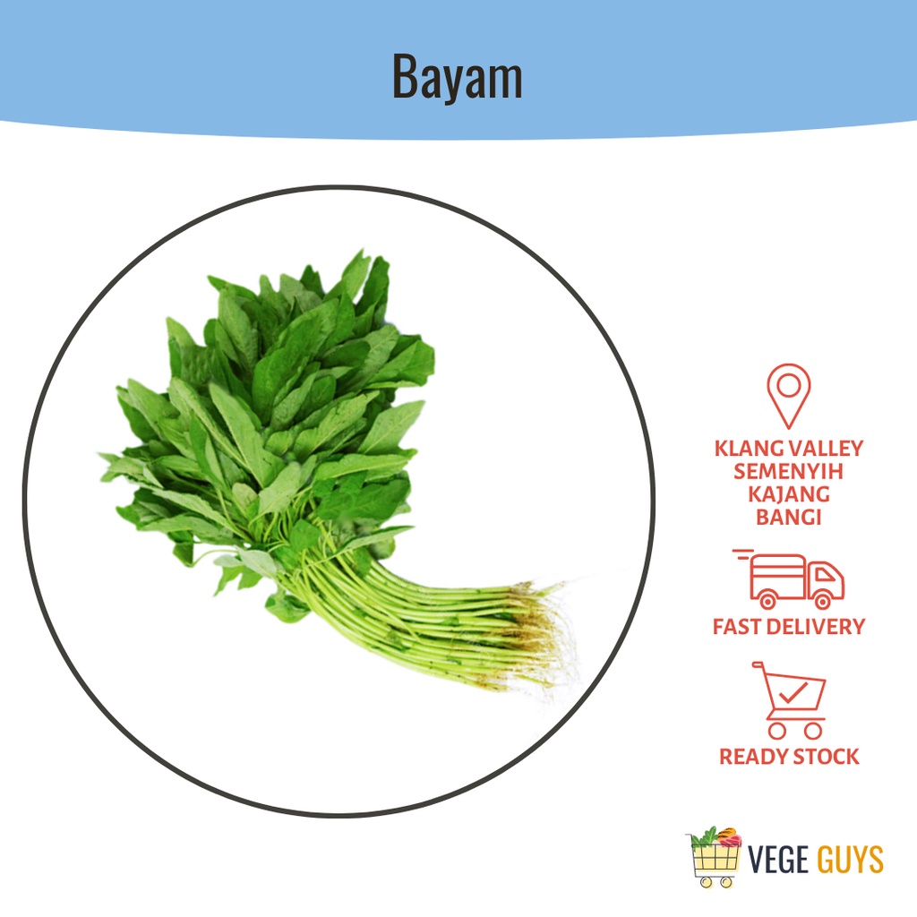Bayam Vege 苋菜 (+/- 200g) | Shopee Malaysia