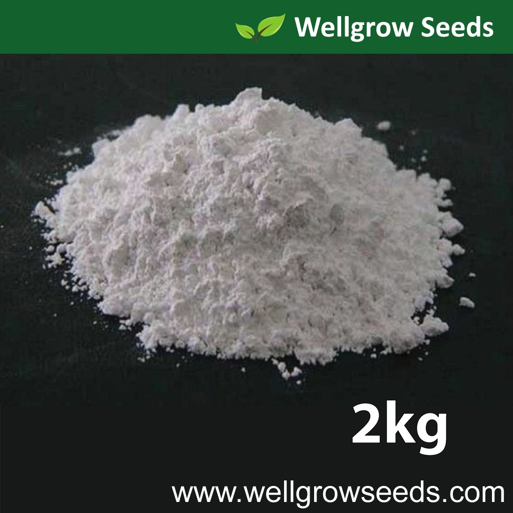 2Kg Baja dolomite GML / Kapur Pertanian / Agriculture Lime (CaO 34.0%± ...