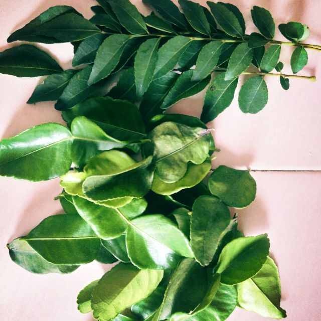 Daun Kari, Daun Limau Purut & Daun Salam (Curry Leaf, Kaffir Lime leaf ...