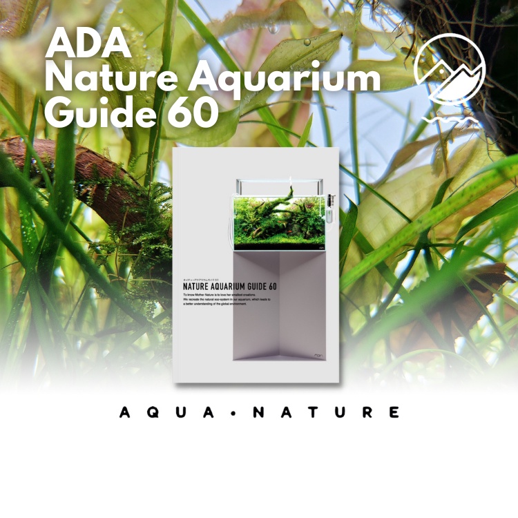 ADA Nature Aquarium Guide 60 (Printed Guide Book for Aquascaping ...