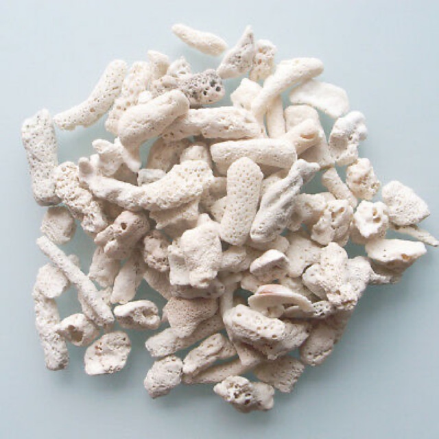 Coral water filter 1kg | Shopee Malaysia