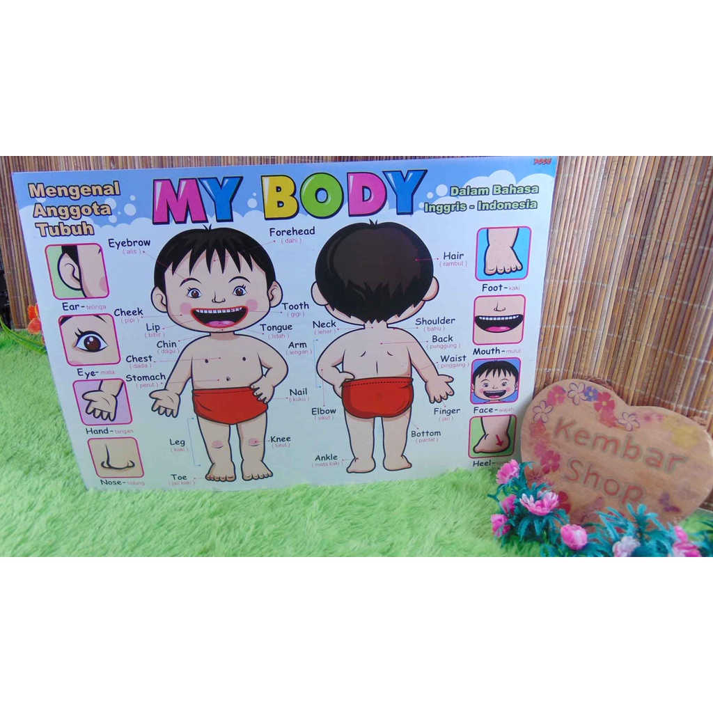 [BUY 2 GET 1 FREE] POS-BODY Kindergarten Early Childhood Learning ...
