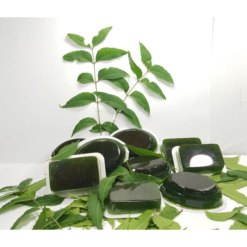 🔥 SABUN SEMAMBU HFMD, ORIGINAL 🔥 ( merawat masalah Kulit) dan FREE DAUN ...