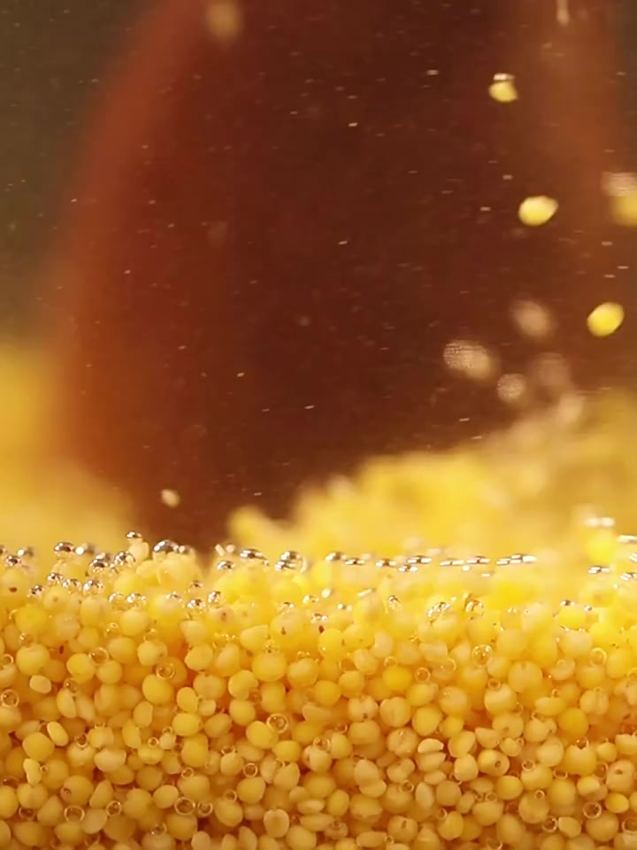 小米 1公斤 Millet Rice 1kg Beras Millet | Shopee Malaysia