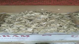 1kg SUPER Thin Kalapan Salted Fish/Feed Salted Fish/Pakkang/Bone ...