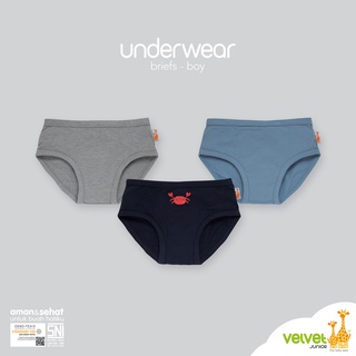 Velvet Underwear Brief Boy Kids | Shopee Malaysia
