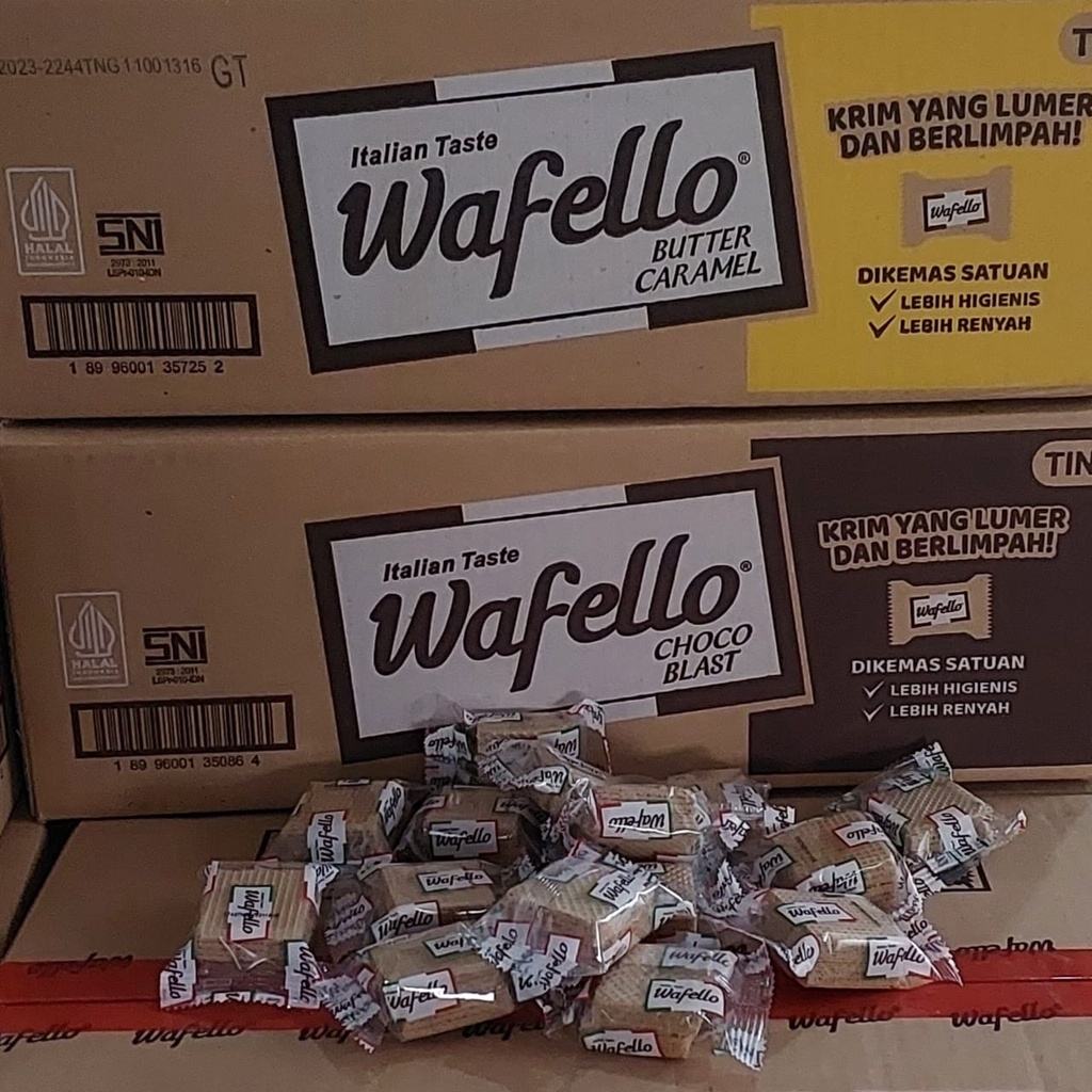 Wafflelo chocolate Roma Wafer Cans Sekarton Italian Taste | Shopee Malaysia