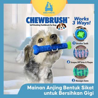 Best Toothbrush Shape Biting Dog Toy - Chewbrush | Shopee Malaysia