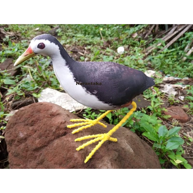 Jontrot statue of the ruakruak new2/bird | Shopee Malaysia