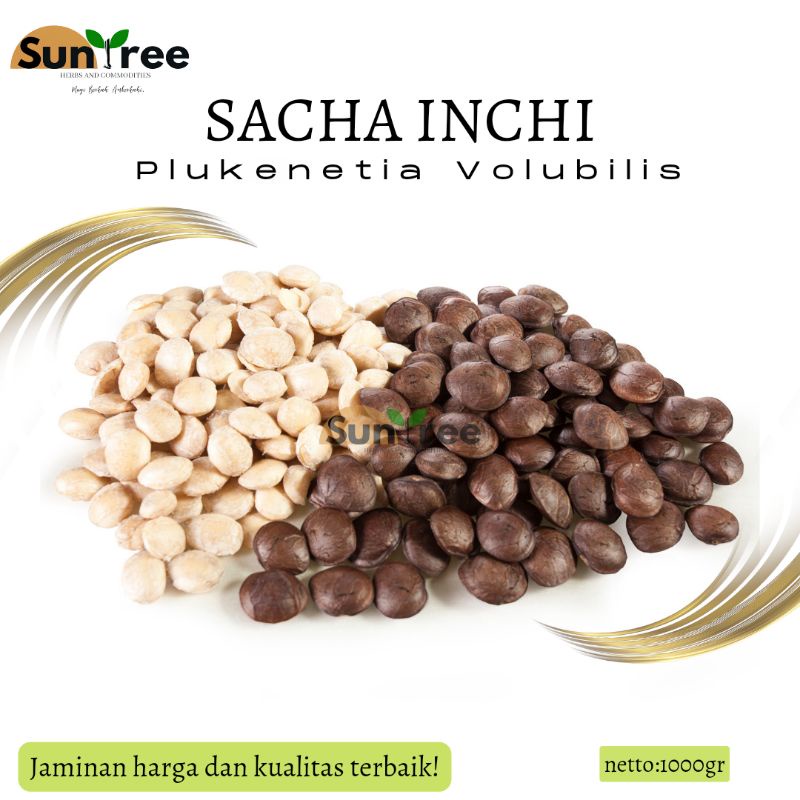 Sacha inchi grade nuts (consumable) 1kg | Shopee Malaysia