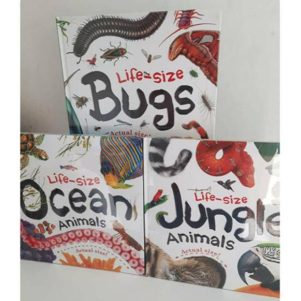 New Life Size Animals | Shopee Malaysia